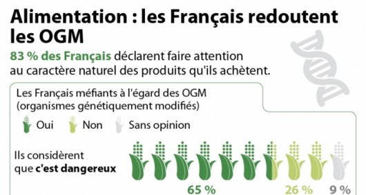 Le plan secret de l’Europe pour relancer les cultures d’OGM - Les ...